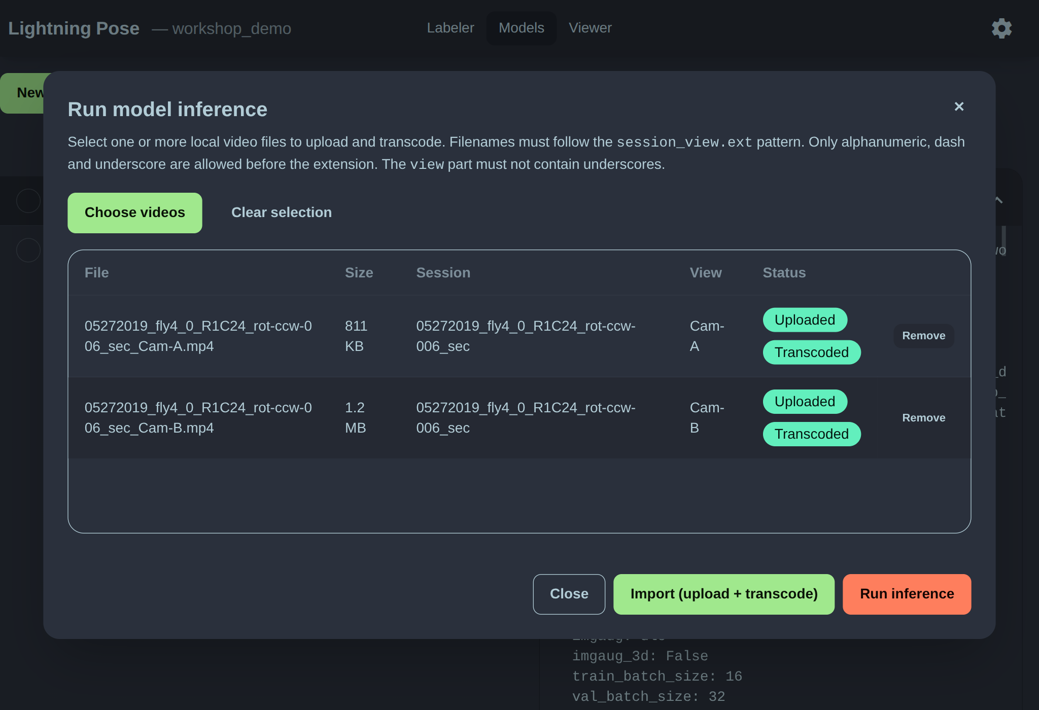 Create your first project — lightning-pose documentation
