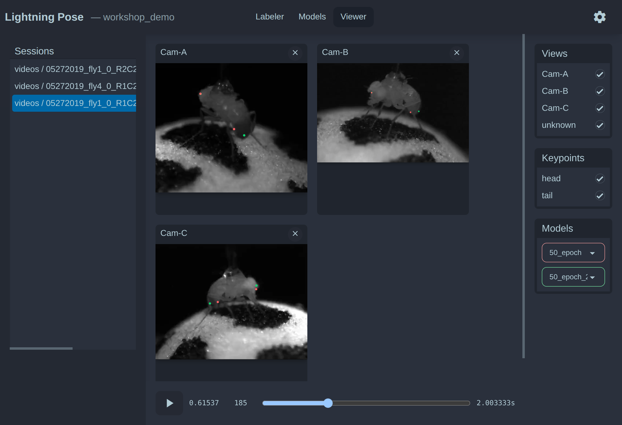 Create your first project — lightning-pose documentation
